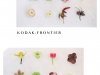 Kodak Test Shoot - Part One - Amanda K Photography - destination film ...
